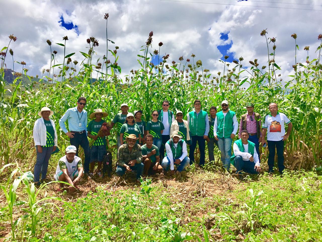 Senar Bahia presta consultoria para 40 produtores rurais do Norte do ...