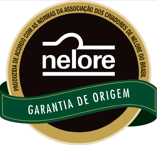 Nelore Logo Cow Farm Modern Logo Royalty Free Vector Image