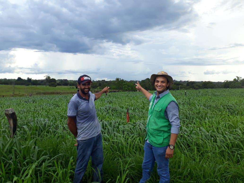 Assistência Técnica e Gerencial do SENAR: transformação e resultados ...