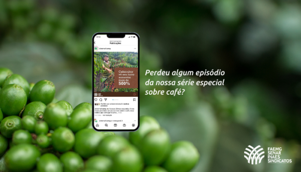 Viu a nossa série de vídeos especiais sobre o café? | Confederação da ...