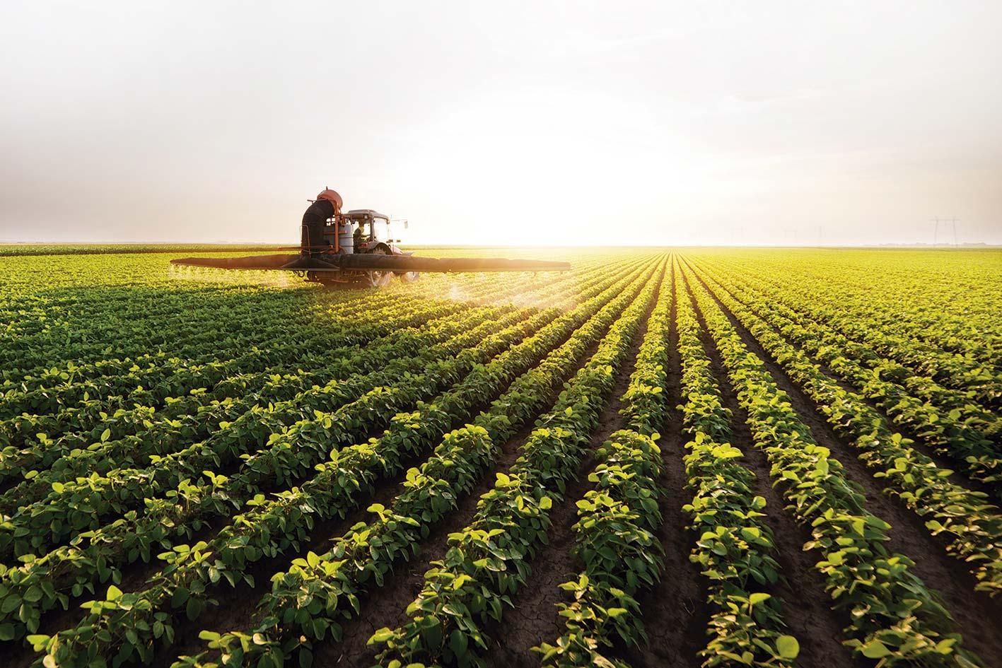 FAEP alerta para uso de semente de soja Intacta 2 Xtend | Confederação ...