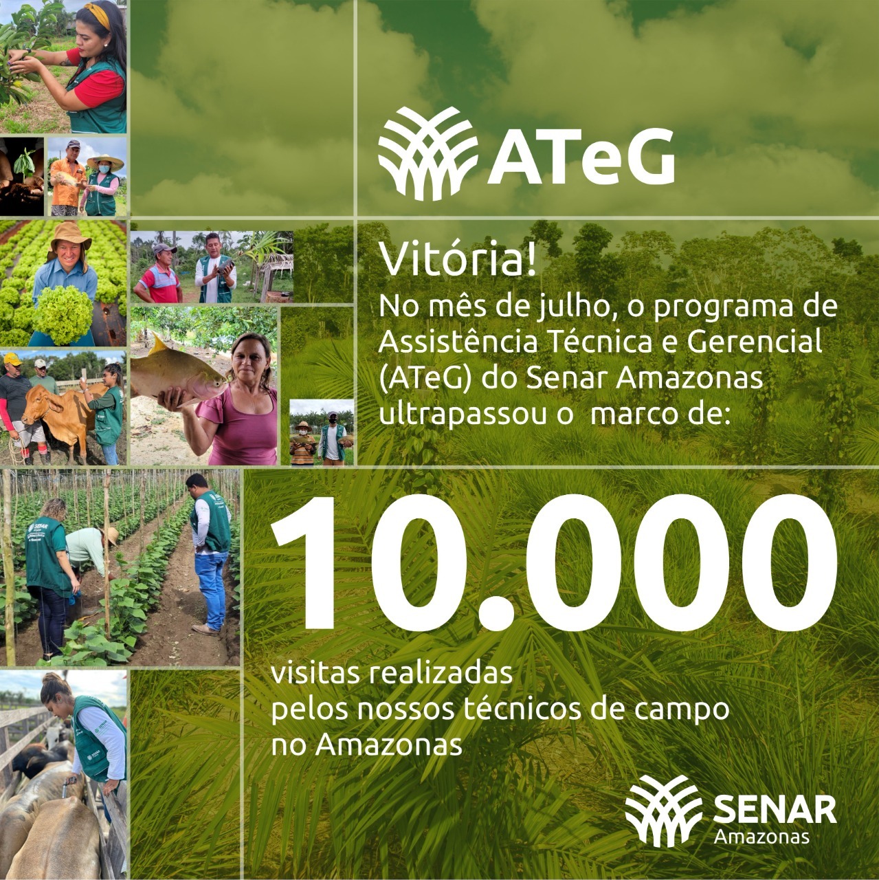 Conquista: ATeG do Senar-AR/AM supera marco de 10 mil visitas técnicas ...