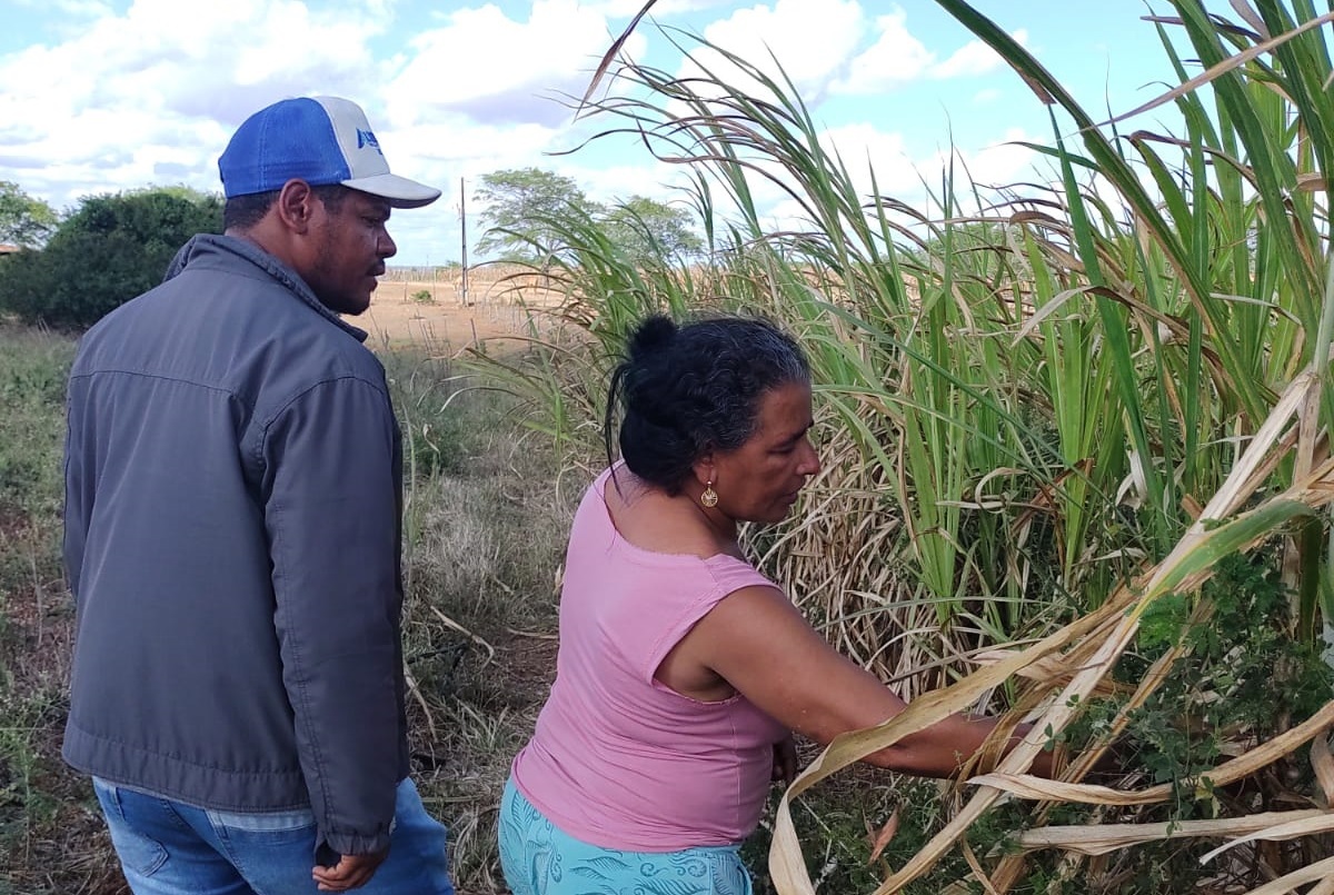 Produzir+Senar: agentes de campo levam conhecimento ao pequeno produtor ...