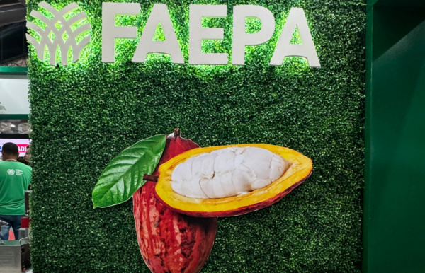 Sistema Faepa/Senar marca presença no Festival Internacional do ...