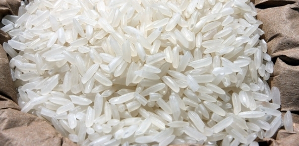 Setor arrozeiro defende medidas ambientais para dar competitividade ao ...