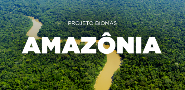 Projeto auxilia na preservação e recuperação do bioma Amazônia ...